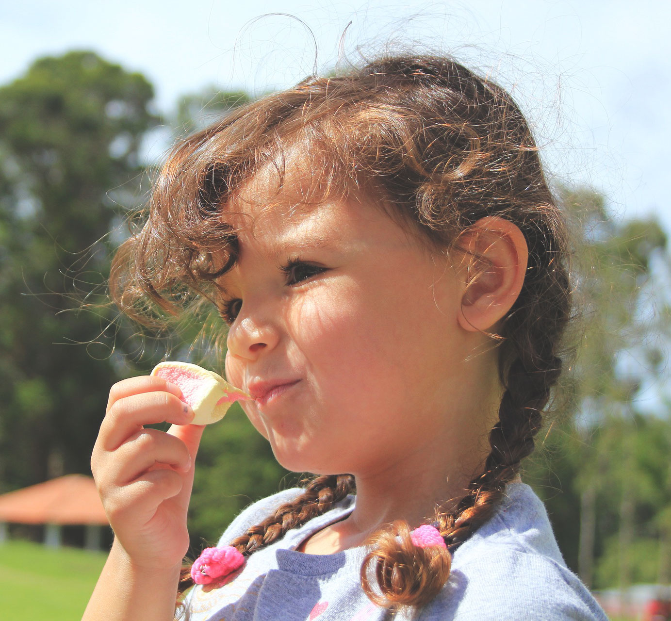 Lunch Order Instructions – St. Elizabeth Seton Catholic School